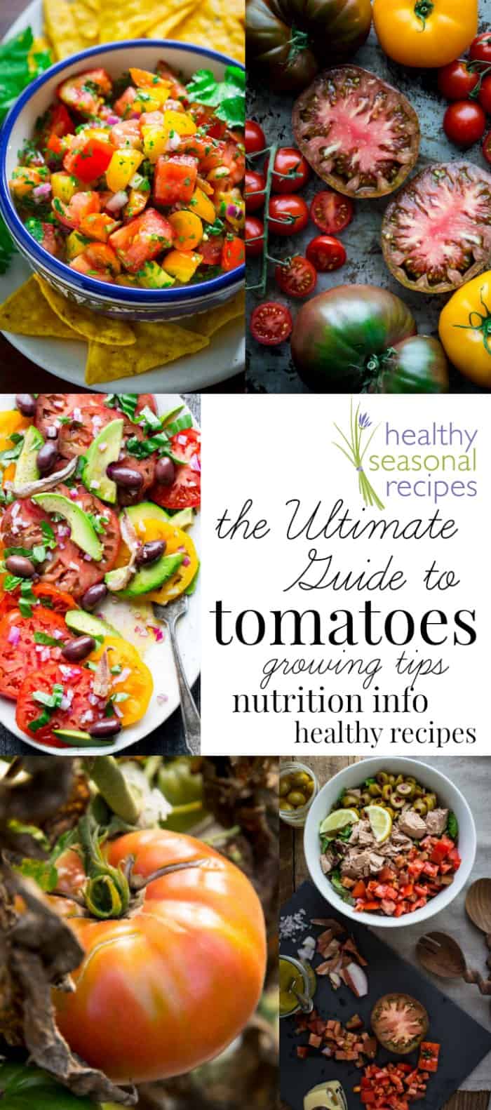 Produce Spotlight: The Ultimate Guide to Tomatoes - Healthy Seasonal ...