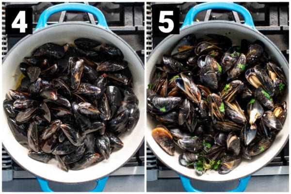 Simple Steamed Mussels with Garlic - Healthy Seasonal Recipes