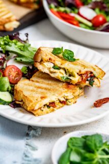 Veggie Panini (Vegetarian) - Healthy Seasonal Recipes