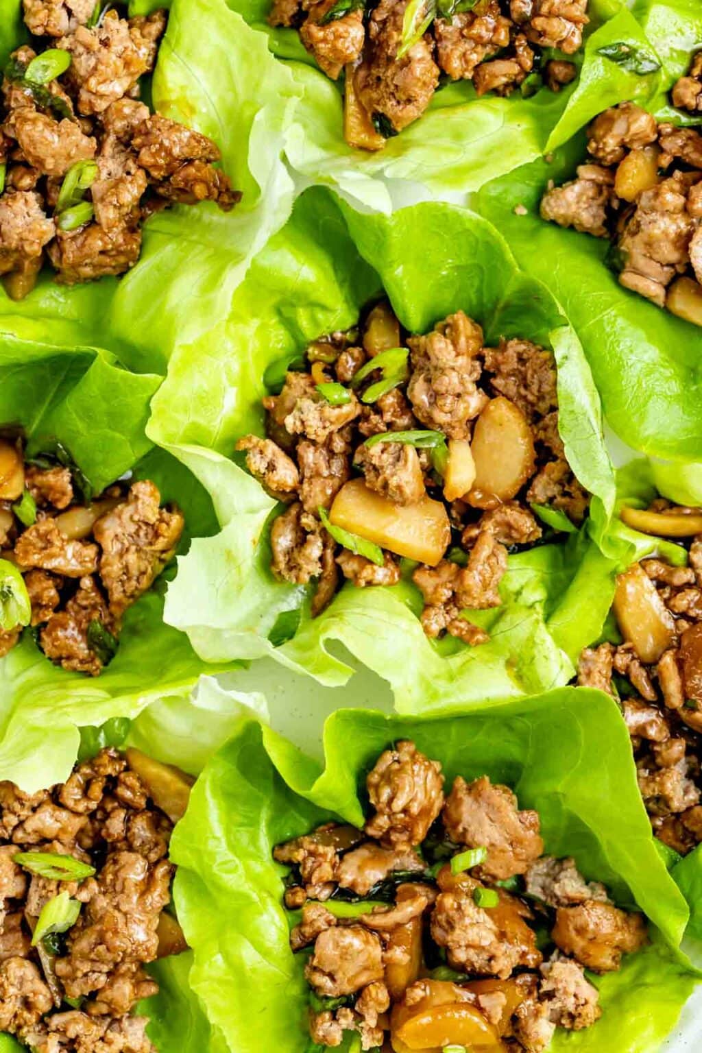 5-Ingredient Ground Turkey Lettuce Wraps - Healthy Seasonal Recipes