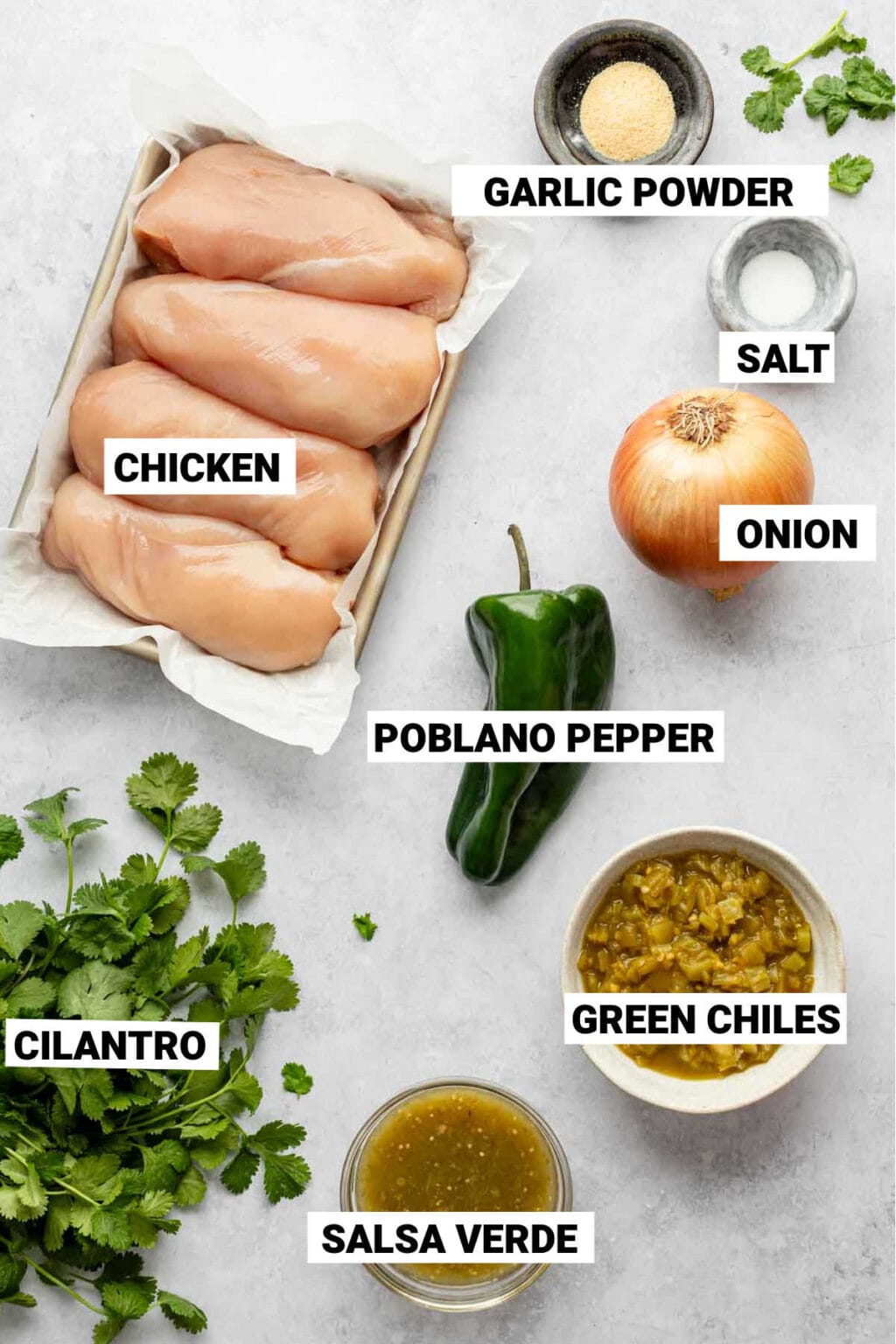 Crock Pot Salsa Verde Chicken - Healthy Seasonal Recipes