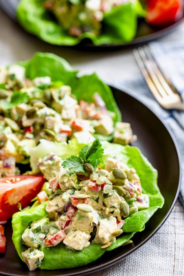 Healthy Chicken Salad Recipe with Greek Yogurt, Dried Cranberries and Nuts