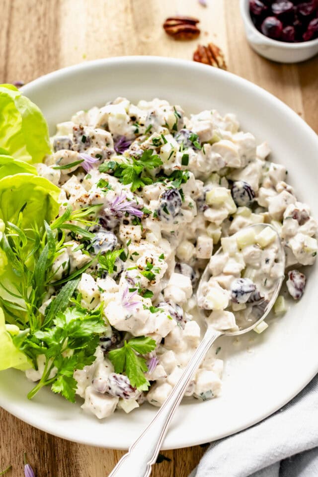 Healthy Chicken Salad Recipe with Greek Yogurt, Dried Cranberries and Nuts